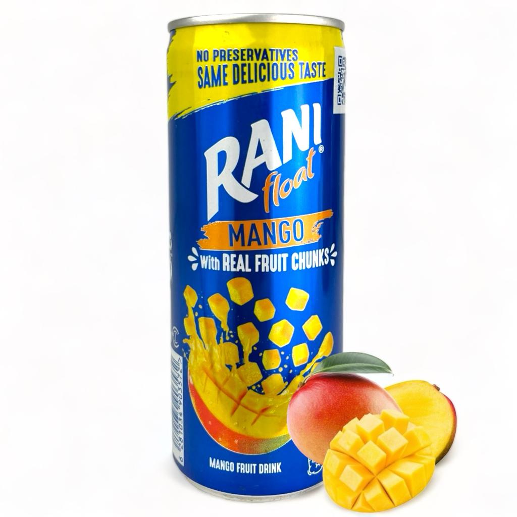 Rani Float Mango With Real Fruit Chunks – Middle East E-Shop